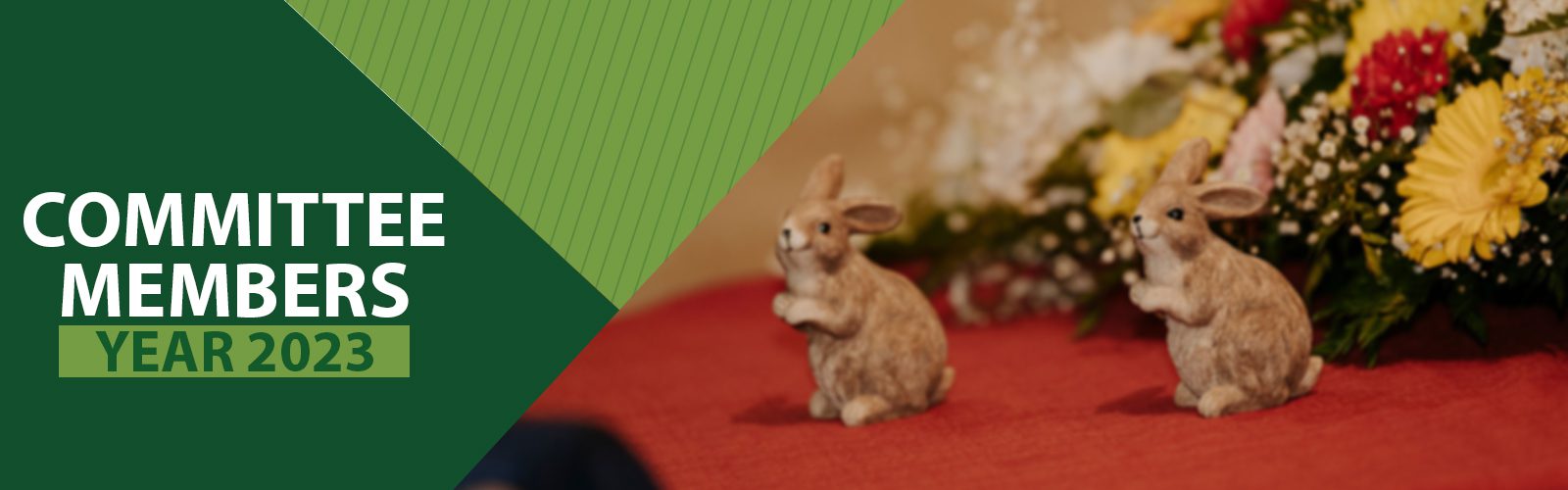 Team | The Malta Rabbit Club - Since 1963